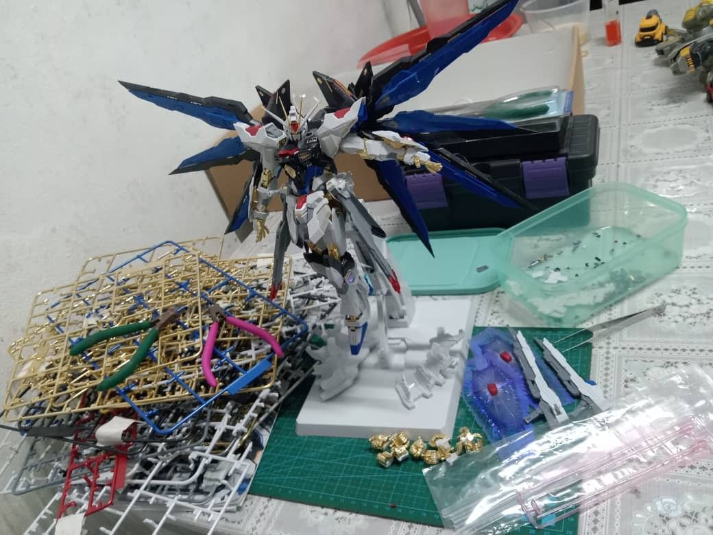 Daban MG Strike Freedom, Hobbies & Toys, Toys & Games on Carousell