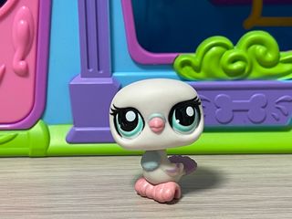 Lps bird, Hobbies & Toys, Toys & Games on Carousell