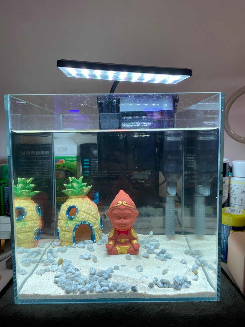 Aquarium CC Tank, Pet Supplies, Homes & Other Pet Accessories on Carousell