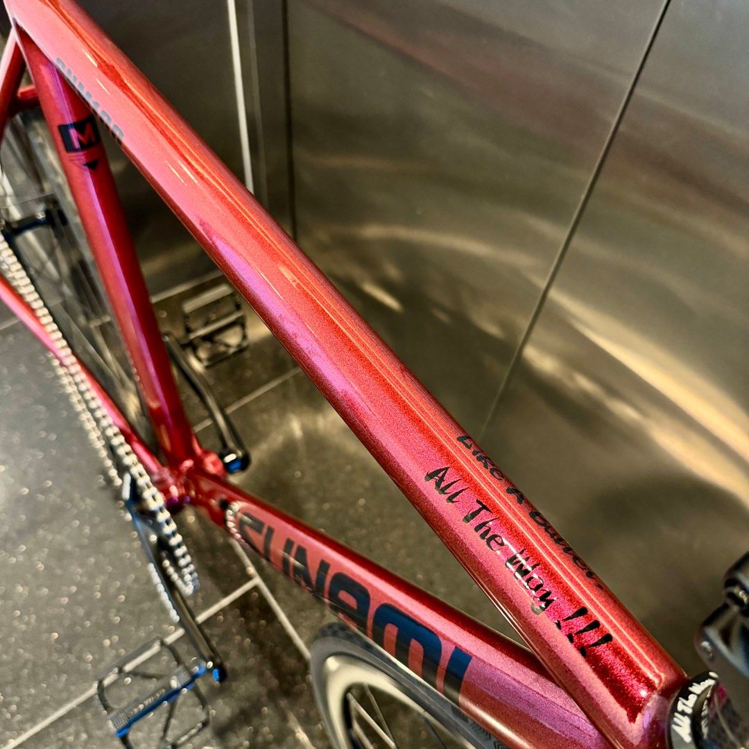 Tsunami Elite/frame set $380/complete bike $719/alloy bike/light weight ...