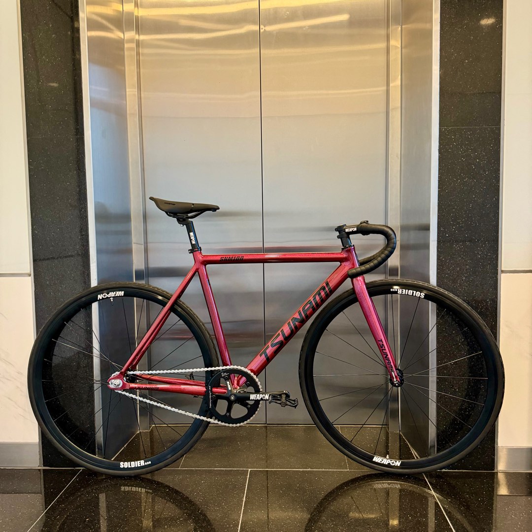 Tsunami Elite/frame set $380/complete bike $719/alloy bike/light weight ...