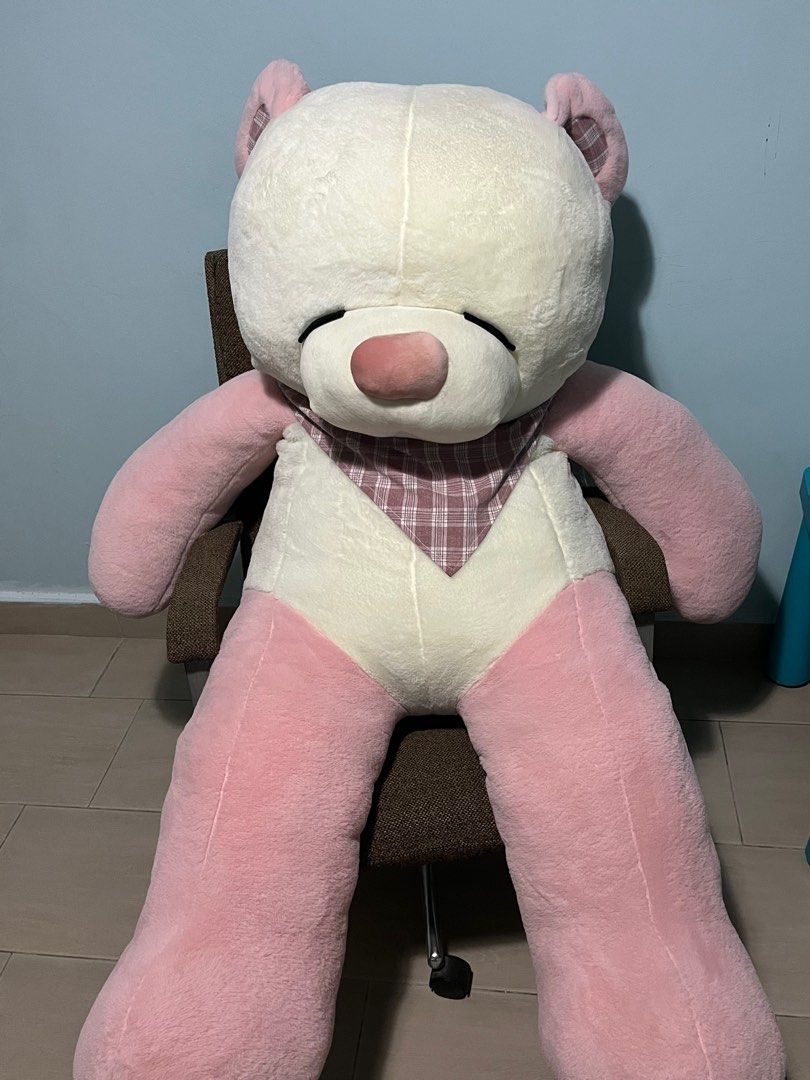 Kaison giant teddy bear, Hobbies & Toys, Toys & Games on Carousell