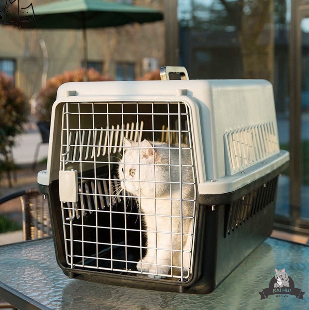 PET CAGE HAND CARRY TRAVEL CAGE CAT AND DOG CAGE, Pet Supplies, Homes ...