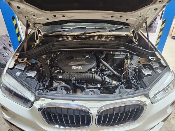 BMW F48 X1 Change OEM Radiator, Flush With Original BMW Coolant ...