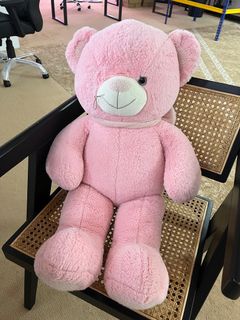 Kaison Teddy Bear Pink, Hobbies & Toys, Toys & Games on Carousell
