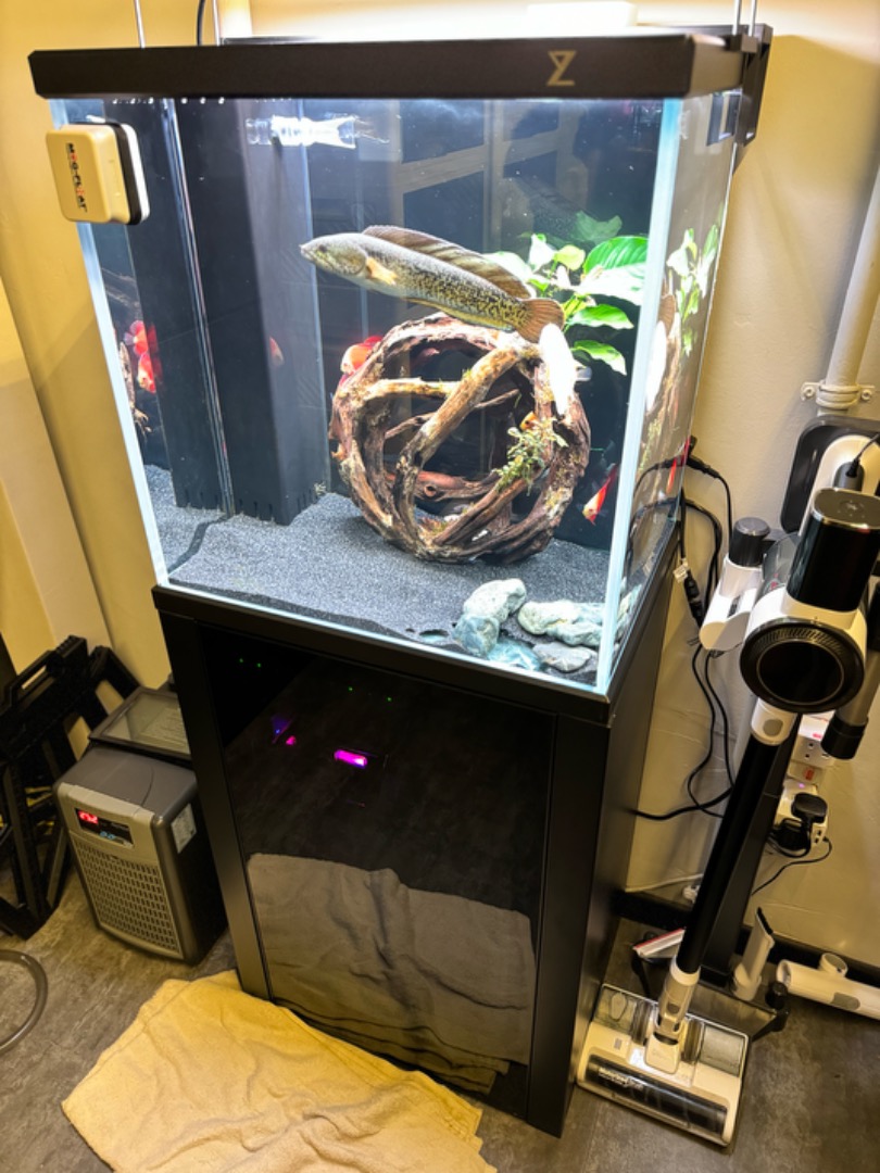 ZY Fish Tank, Pet Supplies, Homes & Other Pet Accessories on Carousell
