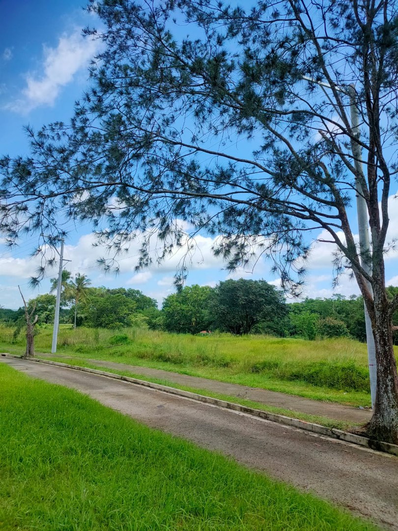 888 sqm. Residential Lot at Caliraya Spring Golf. Cavinti Laguna ...