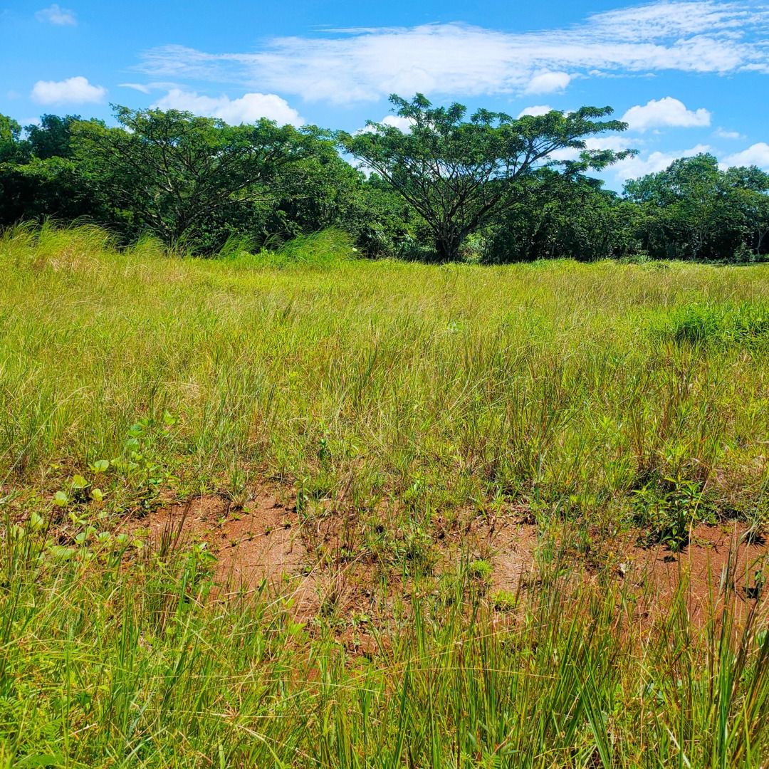 Caliraya Spring Golf Club Single Loaded Lot at 888 SQM Lot Area ...