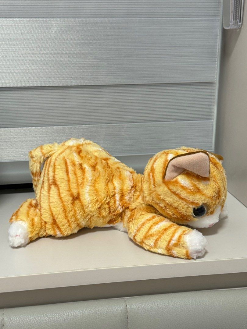 Japanese Akio Watanabe cat doll 橘貓 黑貓 毛公仔 渡邊, 興趣及遊戲, 玩具 & 遊戲類 - Carousell