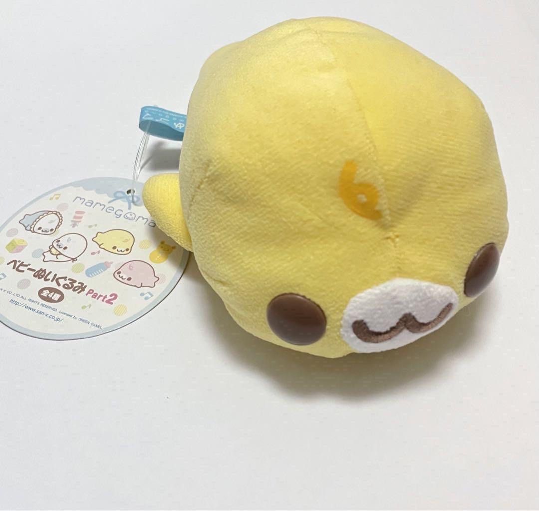 LF Baby Mamegoma Plush Plushies, Bulletin Board, Looking For on Carousell