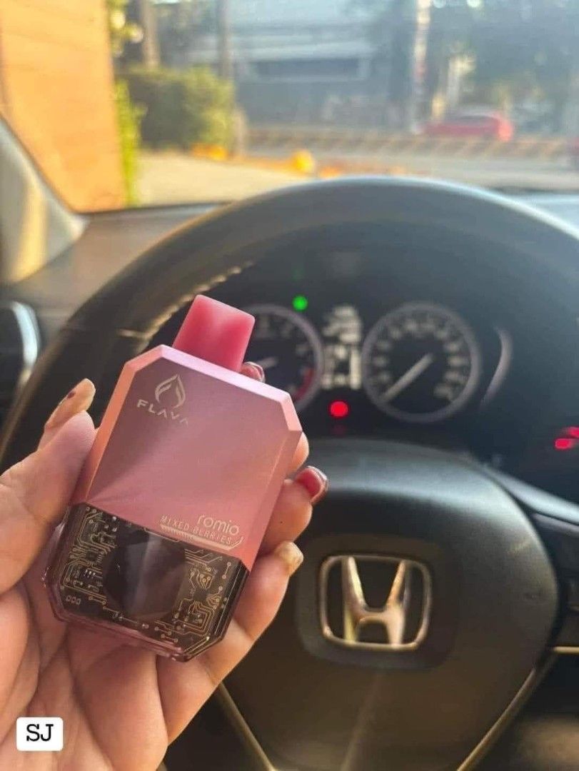 NEW VERSION F L A V A ROMIO V2, Hobbies & Toys, Travel, Travel ...