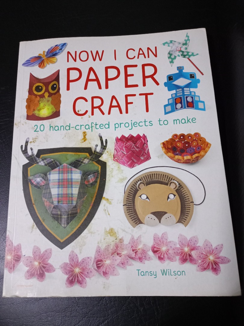 Now I Can Paper Craft, Hobbies & Toys, Books & Magazines, Children's ...