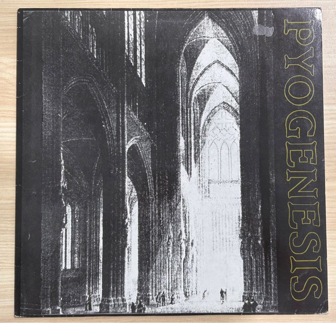 Pyogenesis – Pyogenesis LP 1993, Hobbies & Toys, Music & Media, Vinyls ...