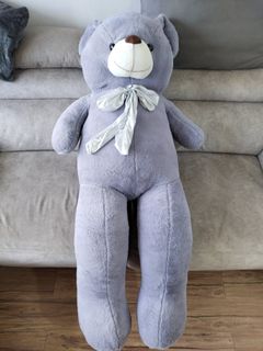 Kaison giant teddy bear, Hobbies & Toys, Toys & Games on Carousell