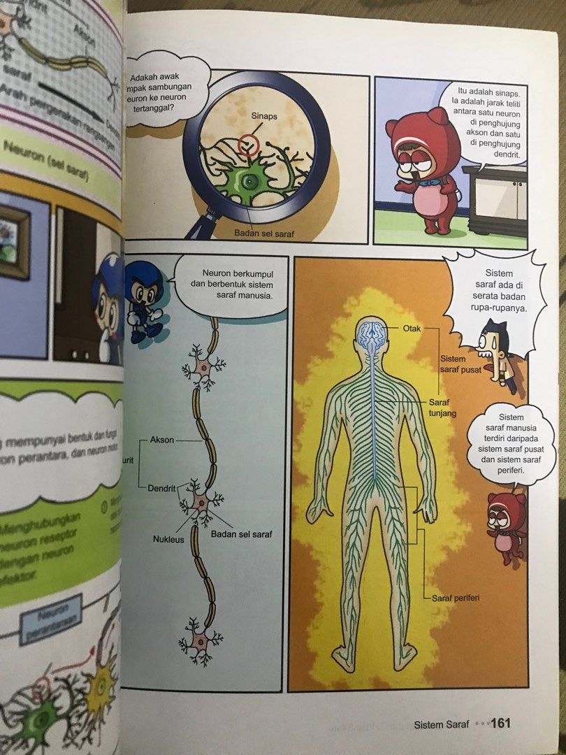 Spm Komik KIMIA/BIOLOGI (RM15 each), Hobbies & Toys, Books & Magazines ...