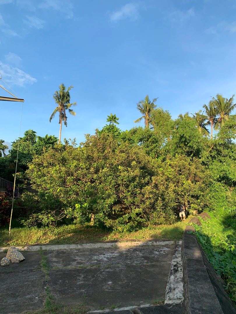 182 square meter Lot for Sale, Property, For Sale, Lot on Carousell