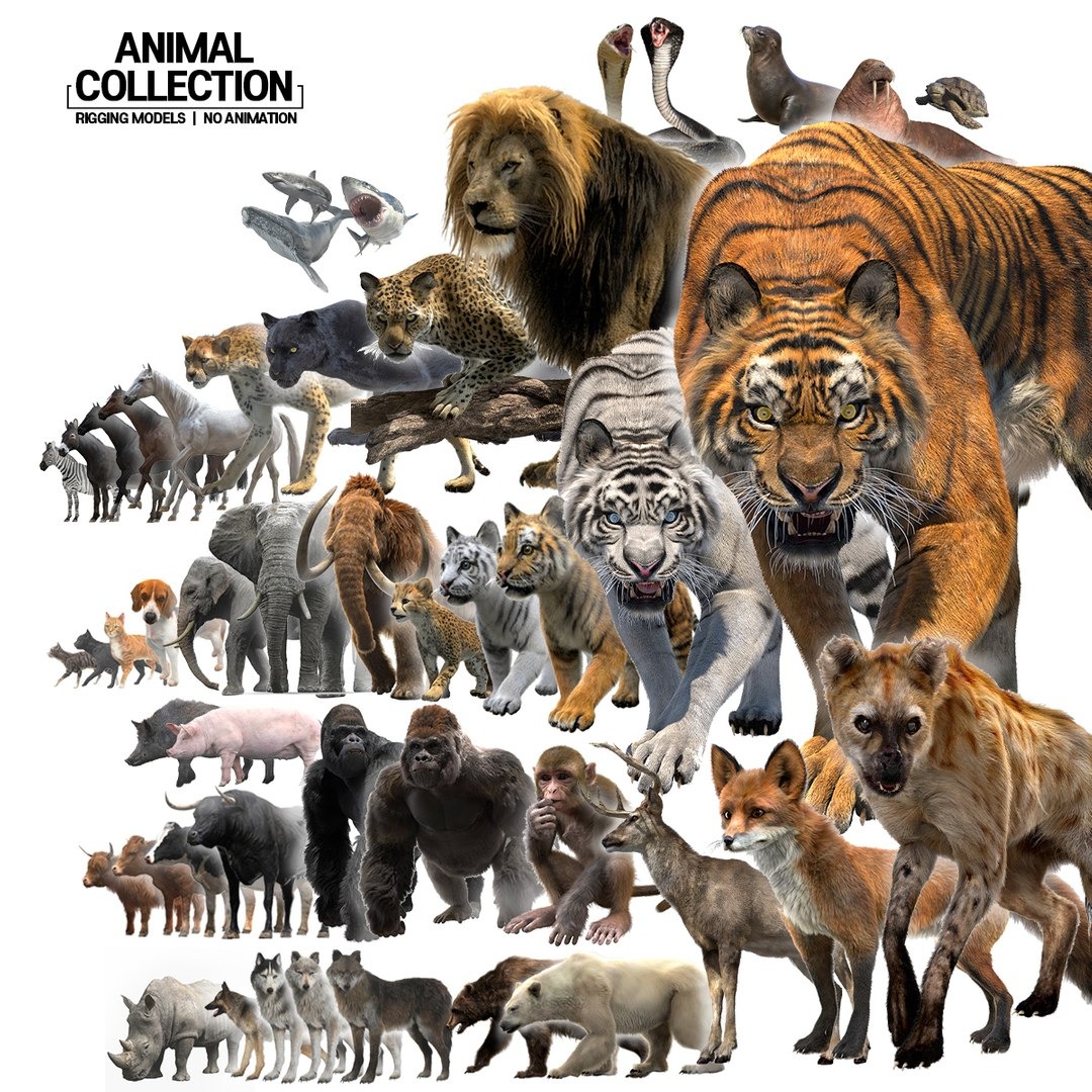 3D modelling Animal collection [ rigging models; no animation ...