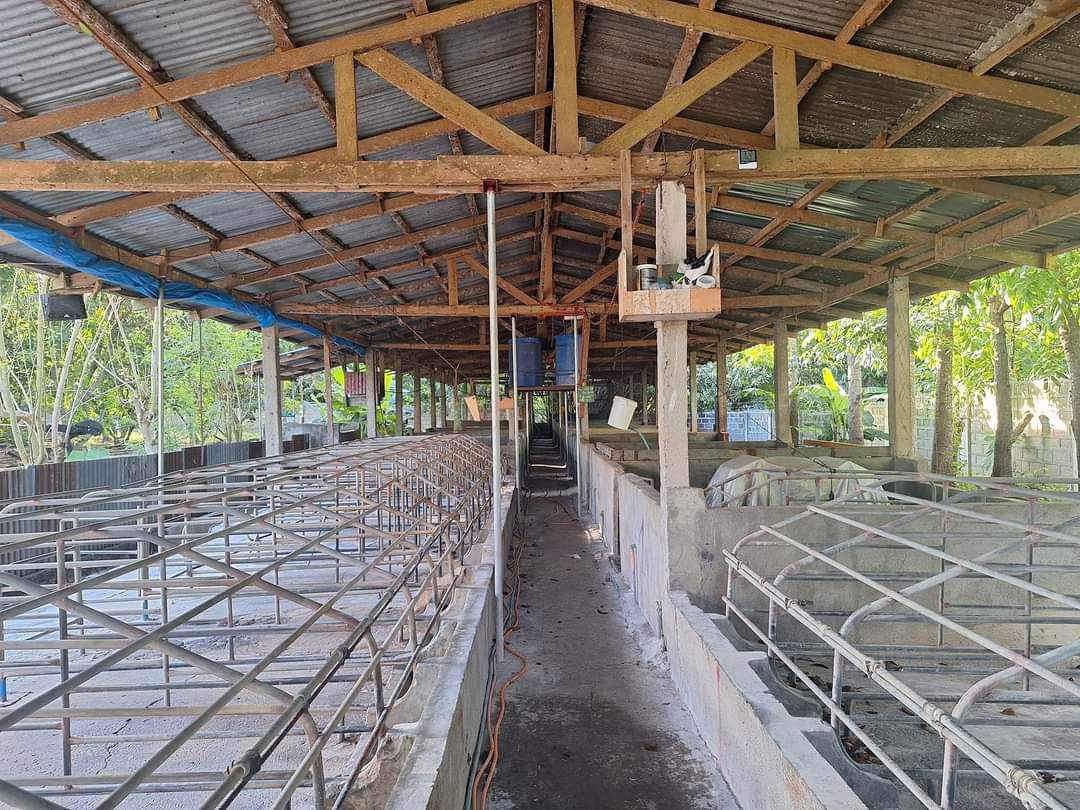 FARM LOT WITH PIGGERY BUILDING AND REST HOUSE ROSARIO BATANGAS ...