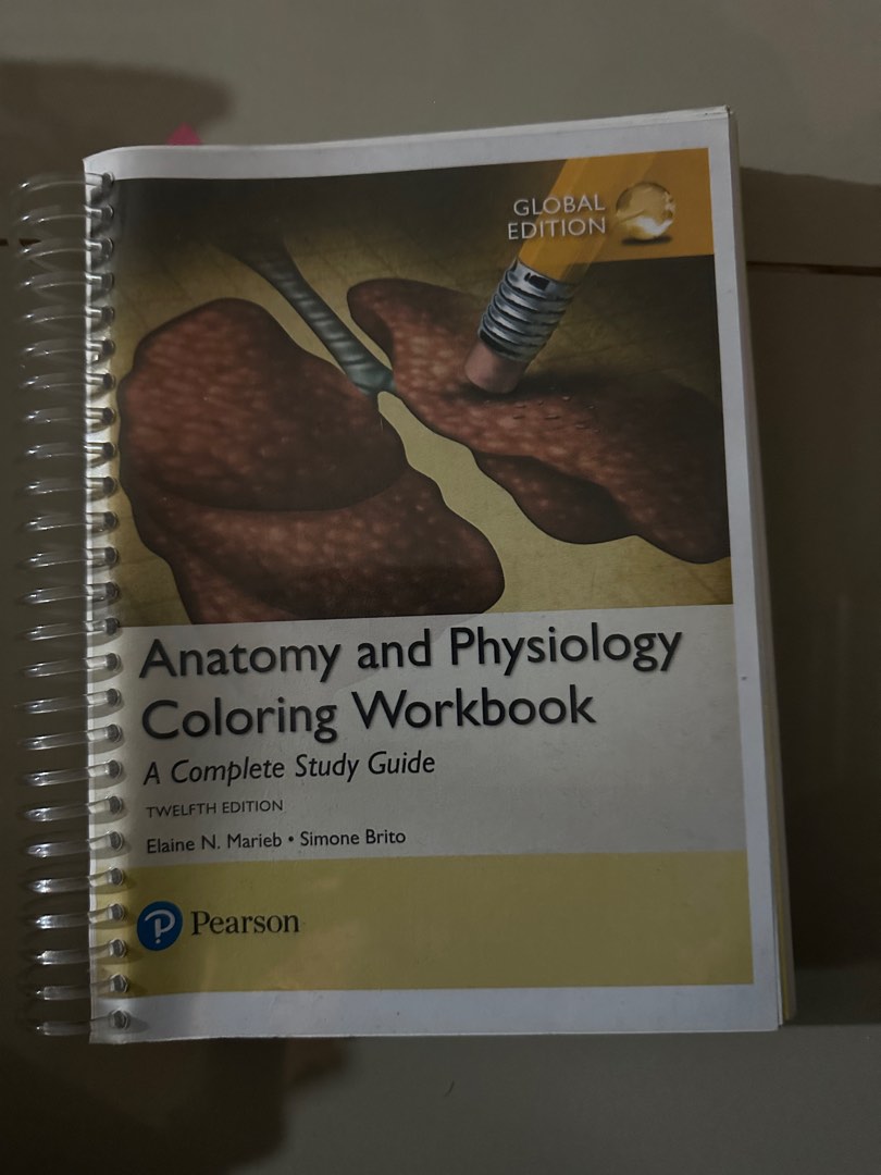 Marieb Anatomy and Physiology Coloring Workbook, Hobbies & Toys, Books ...