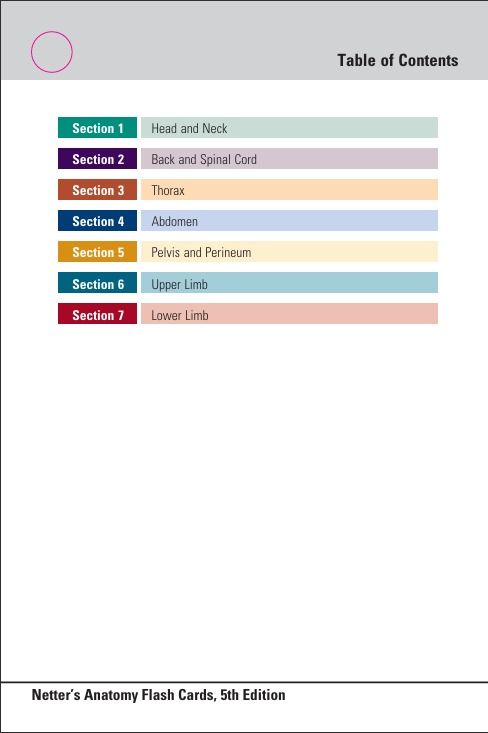 [PDF] Netter's Anatomy Flash Cards 5th Edition, Hobbies & Toys, Books ...