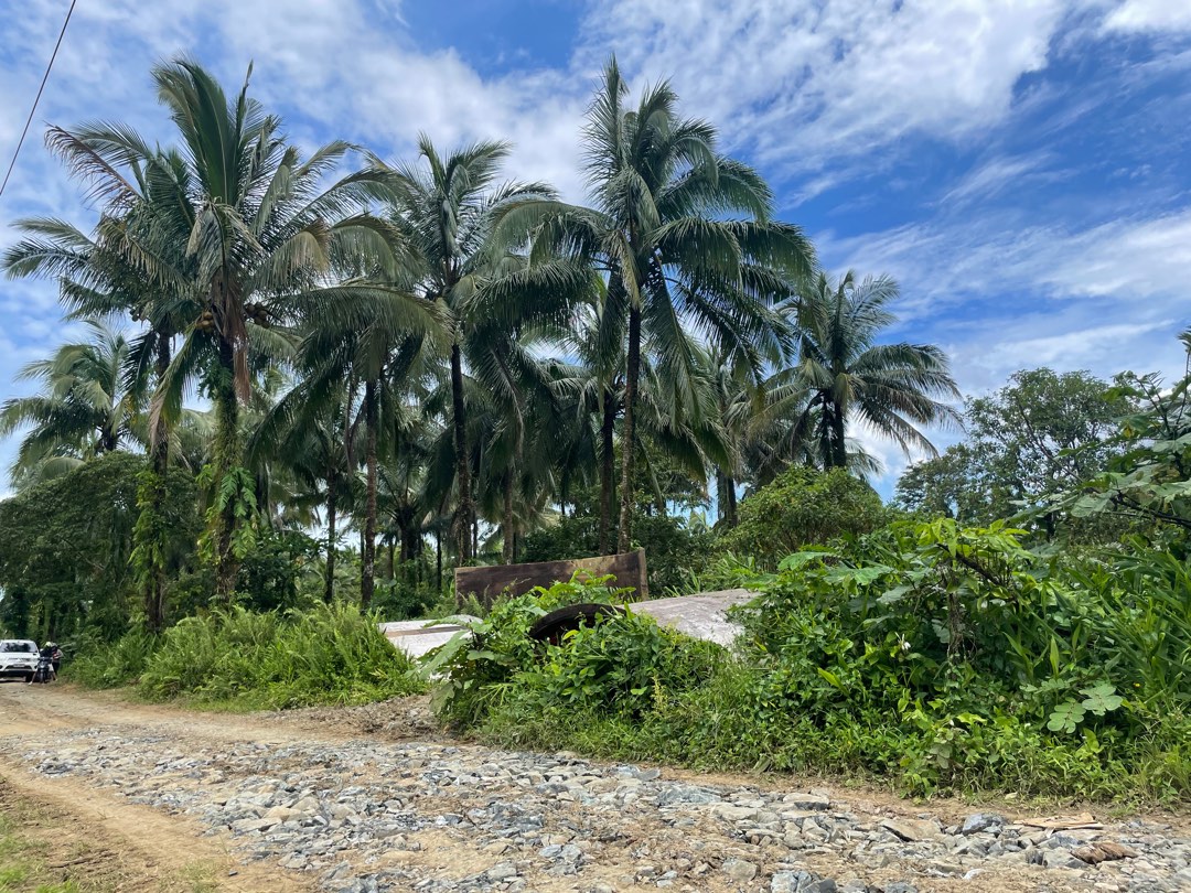 RUSHSELL COCONUT FARM 1.6HAS EXP. TO 3.3HAS 250/SQM IN TAYABAS QUEZON ...