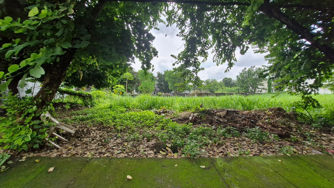 FOR ONLY 92K PER SQUARE METER! Lot for sale in Loyola Grand Villas ...