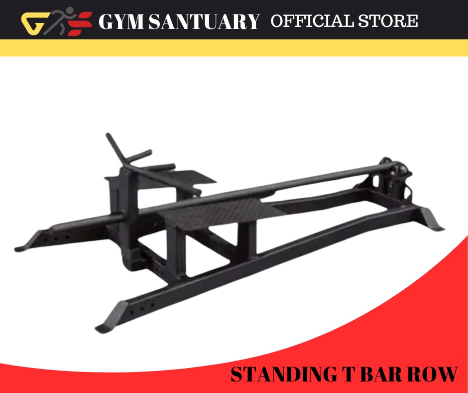STANDING T BAR ROW, Sports Equipment, Exercise & Fitness, Cardio ...
