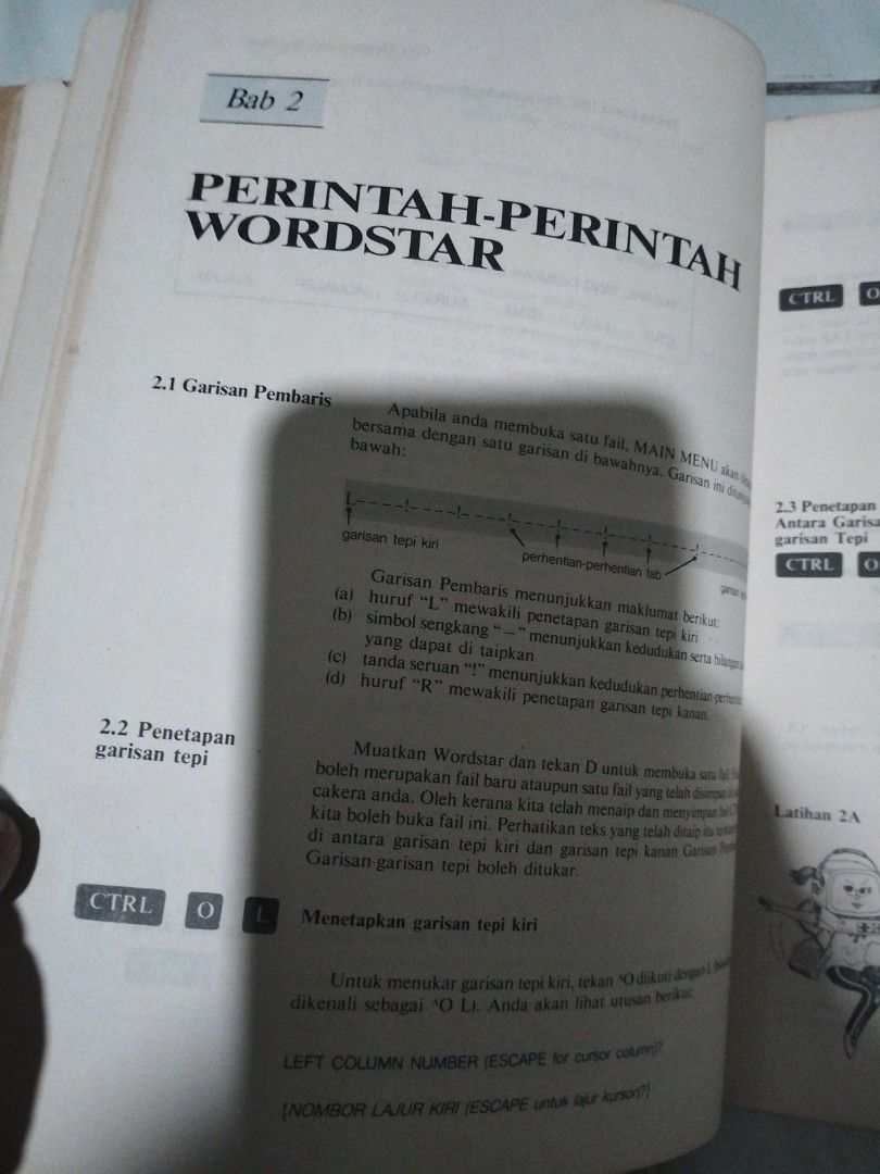 Buku lama komputer - wordstat - lotus & cakera keras, Hobbies & Toys ...