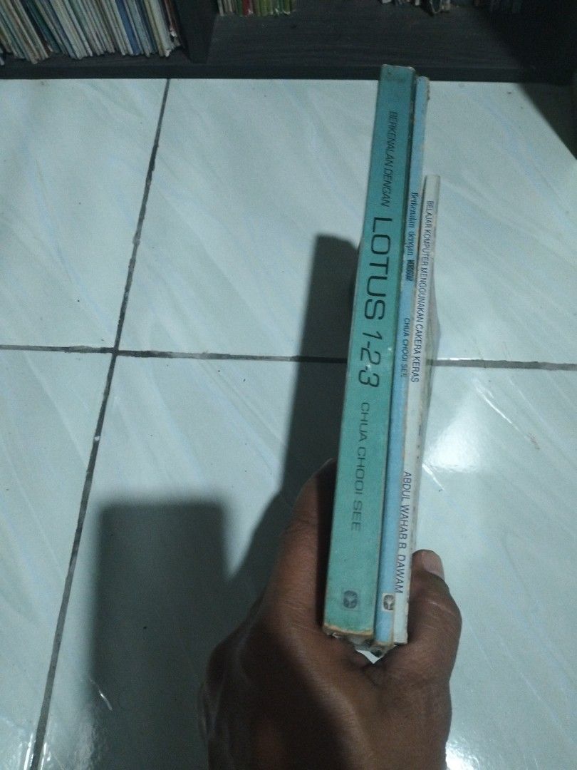 Buku lama komputer - wordstat - lotus & cakera keras, Hobbies & Toys ...