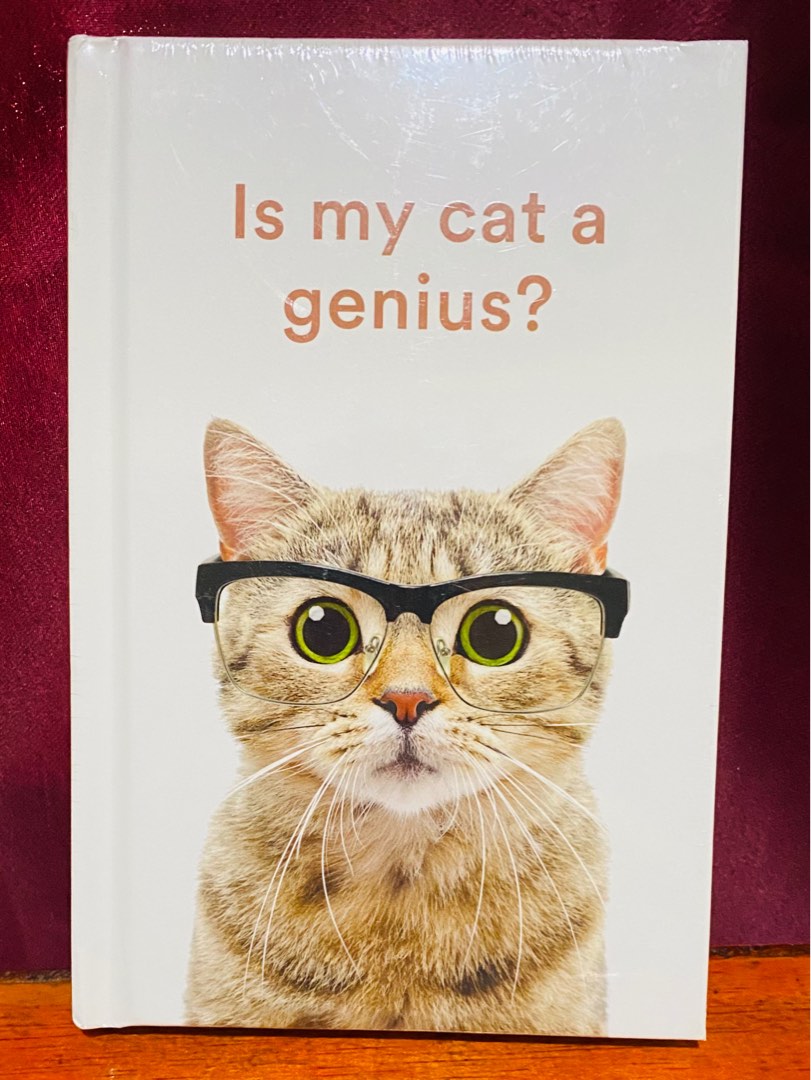 Is My Cat A Genius book, Hobbies & Toys, Books & Magazines, Fiction ...