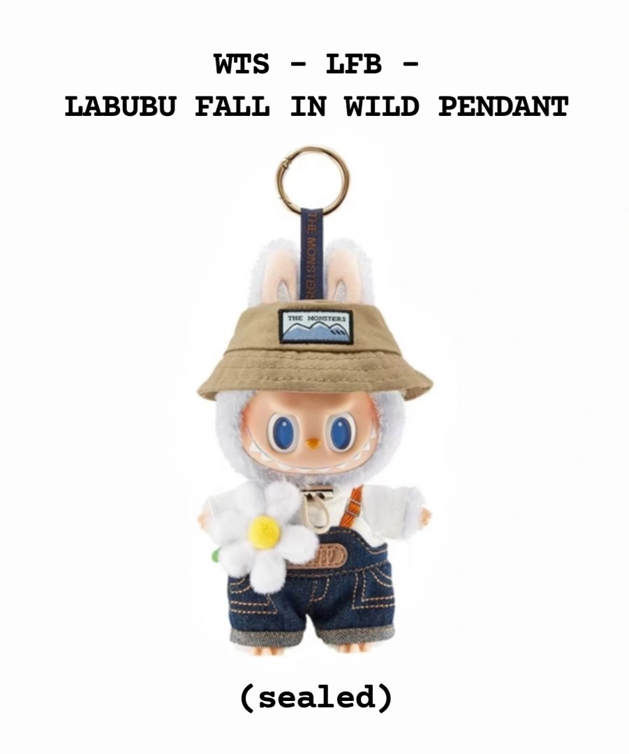 LABUBU FALL IN WILD + SKULLPANDA OUTSIDER SET , Hobbies & Toys, Toys ...