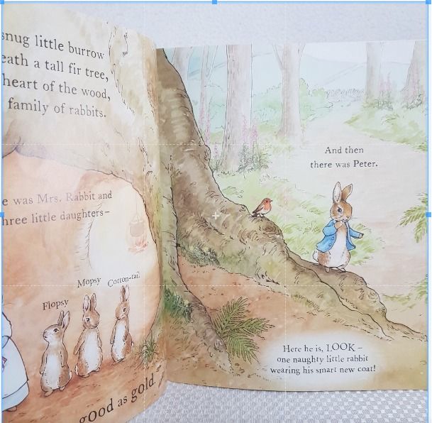 Peter Rabbit, The tale of a naughty little rabbit by Beatrix Potter ...