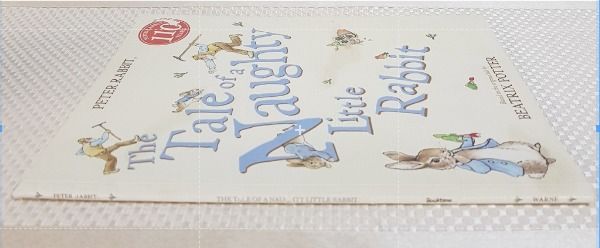 Peter Rabbit, The tale of a naughty little rabbit by Beatrix Potter ...