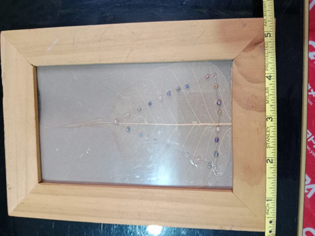 Skeleton leaf frame, Furniture & Home Living, Home Decor, Frames ...