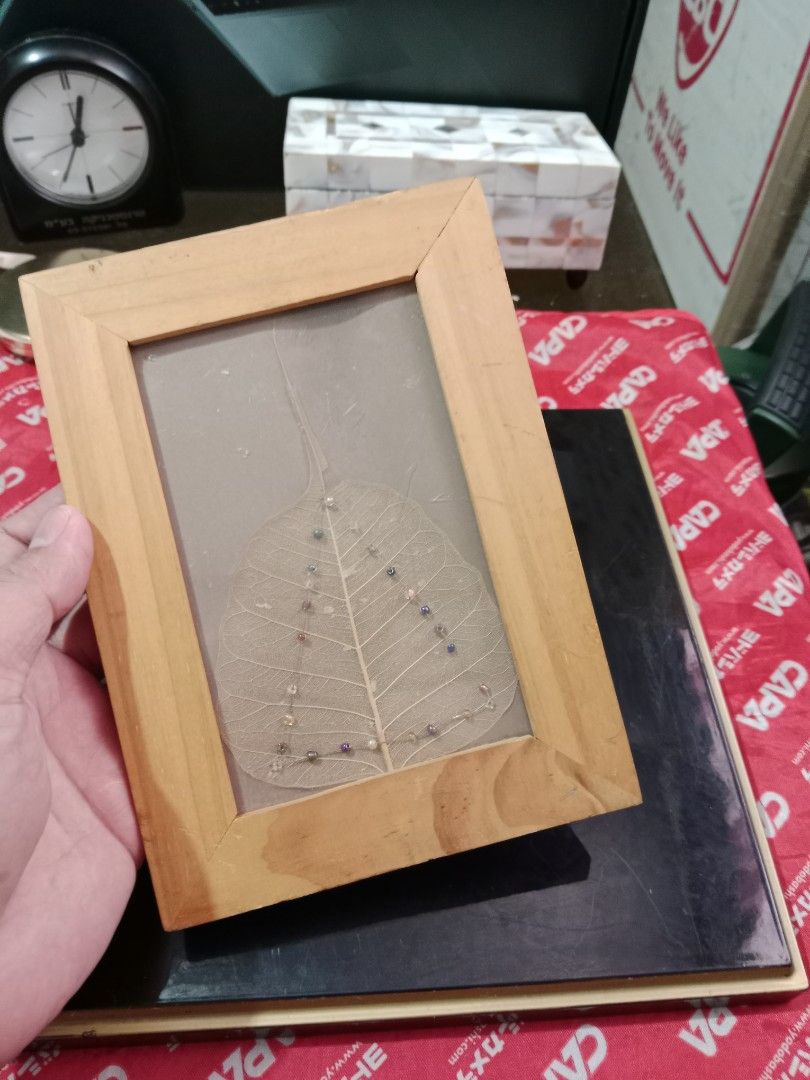 Skeleton leaf frame, Furniture & Home Living, Home Decor, Frames ...