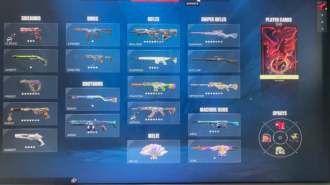 23 Prem wtt Valorant Account, Video Gaming, Gaming Accessories, Game ...