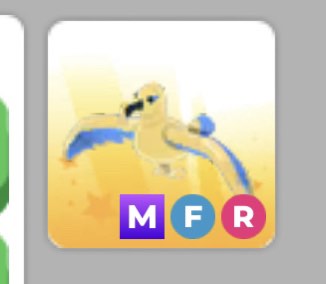 Roblox Adopt Me Mega Fly Ride Golden Albatross MFR Golden Albatross ...