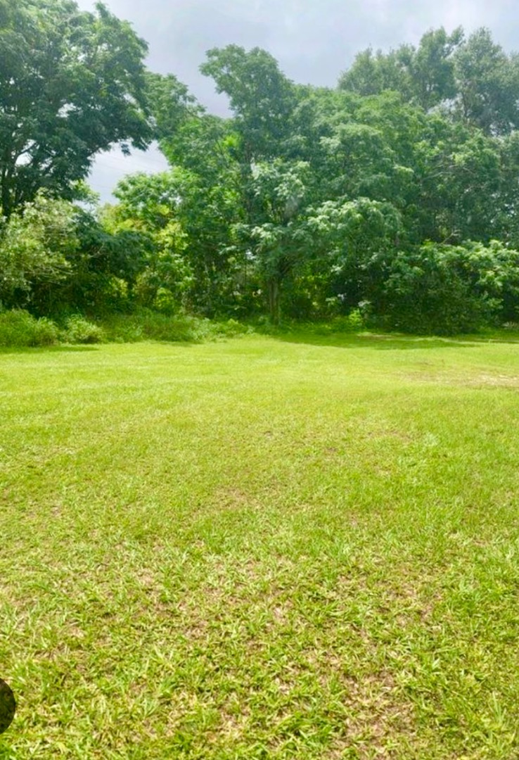 RUSH SALE: 4.5 Hectares farm lot in Batangas City, Property, For Sale ...