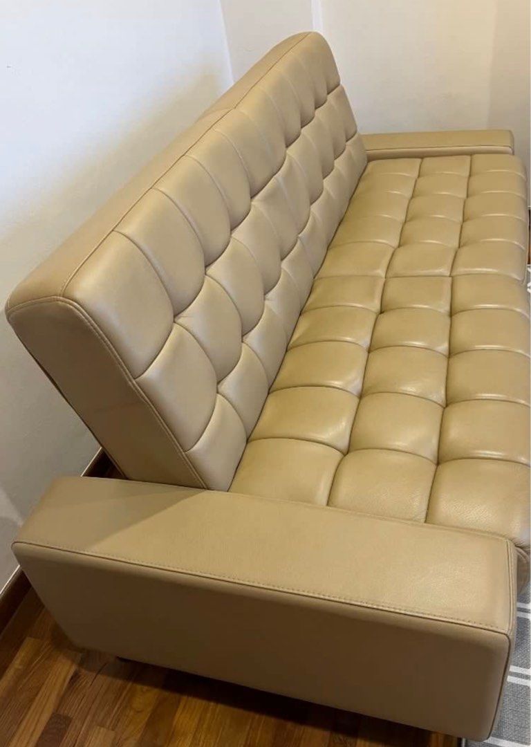 Seahorse sofa bed store