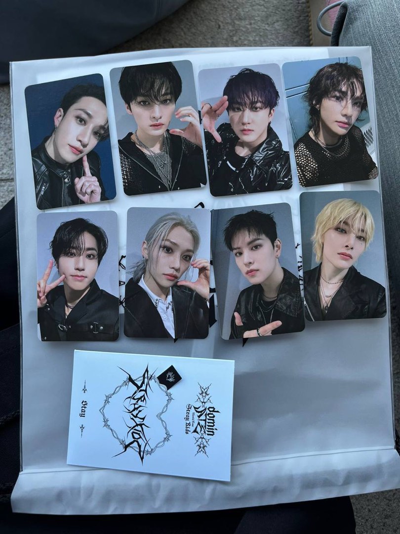 WTS STRAY KIDS SKZ FELIX STAYZONE DAY 4 PC, Hobbies & Toys ...