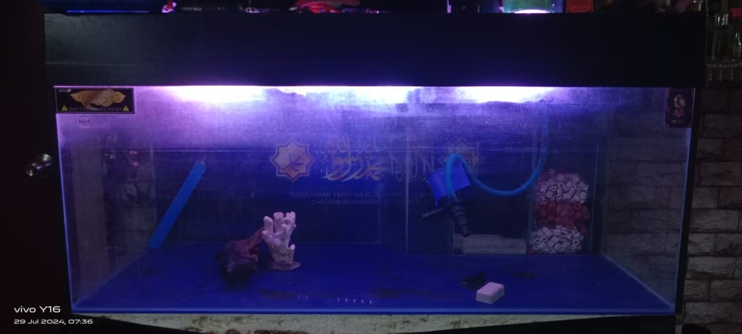 Akuarium Besar Siap Semua Aksesori Stand Aquarium Tank For Sell, Pet ...