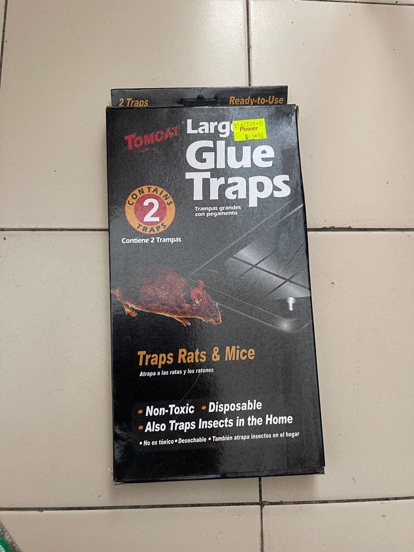 Rat and Mouse Glue traps,mosquito repellants, Furniture & Home Living ...