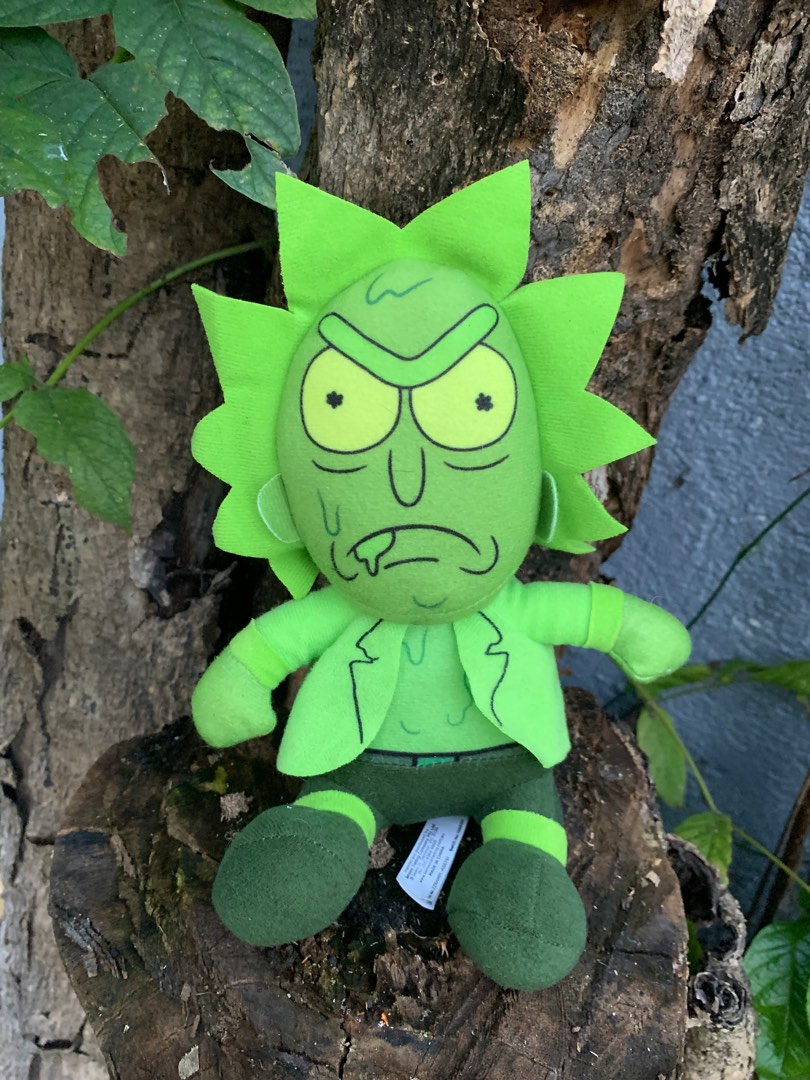 Ricky Morty plush, Hobbies & Toys, Toys & Games on Carousell