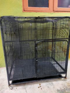 Sangkar kucing 2 pintu / 2 layer (COD/pickup JB sahaja), Pet Supplies ...