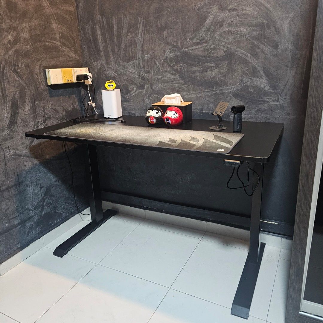 SQUIRREY ELECTRIC HEIGHT ADJUSTABLE DESK (U.P. $252), Furniture & Home ...