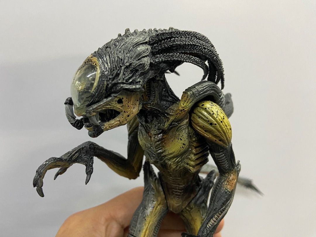 有POST有貨：絕版 NECA 8" 異獸戰2 異形 鐵血戰士 混種 NECA AVP 2 AVPR Aliens vs Predator: Requiem - Alien, Hybrid ...