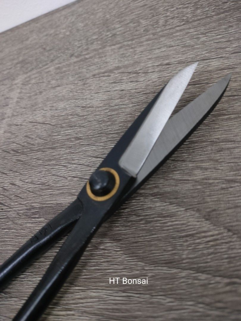 Carbon Steel Bonsai Shears Scissors Twig Pruning Shears Gunting Bonsai ...