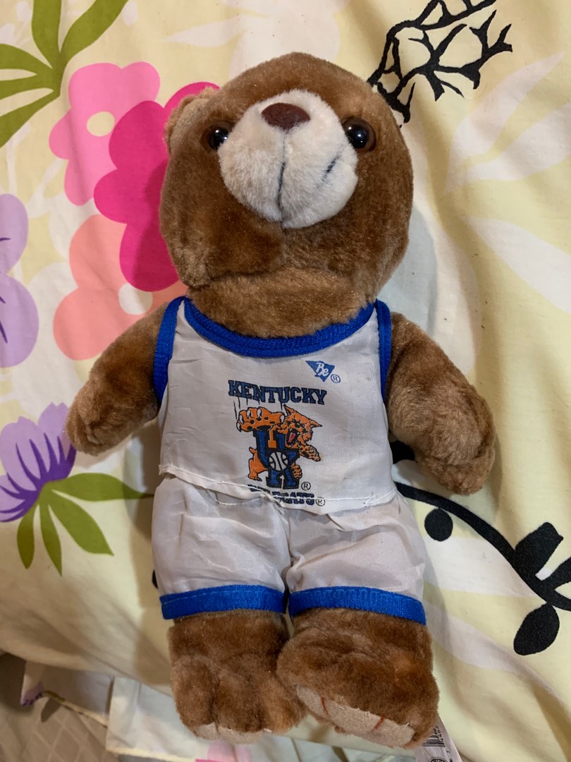 KENTUCKY WILDCATS OFFICIAL BEAR, Hobbies & Toys, Toys & Games on Carousell