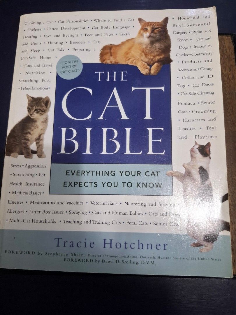 The Cat Bible by Tracie Hotchner, Hobbies & Toys, Books & Magazines ...
