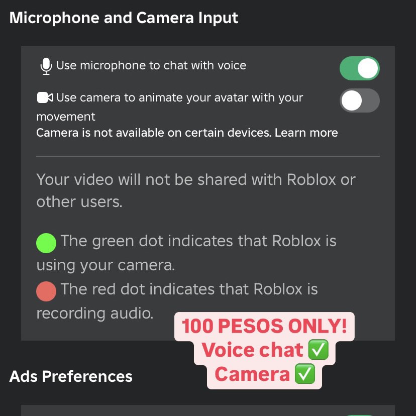 Roblox Verifying Voice Chat VC Service camera Verified my Age Gcash ...